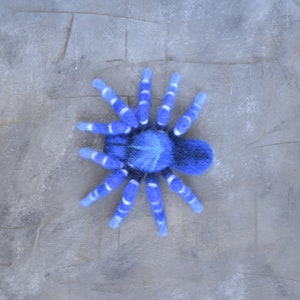 Handmade Blue Tarantula Spider Realistic Brooch Needle Felted Realistic ...