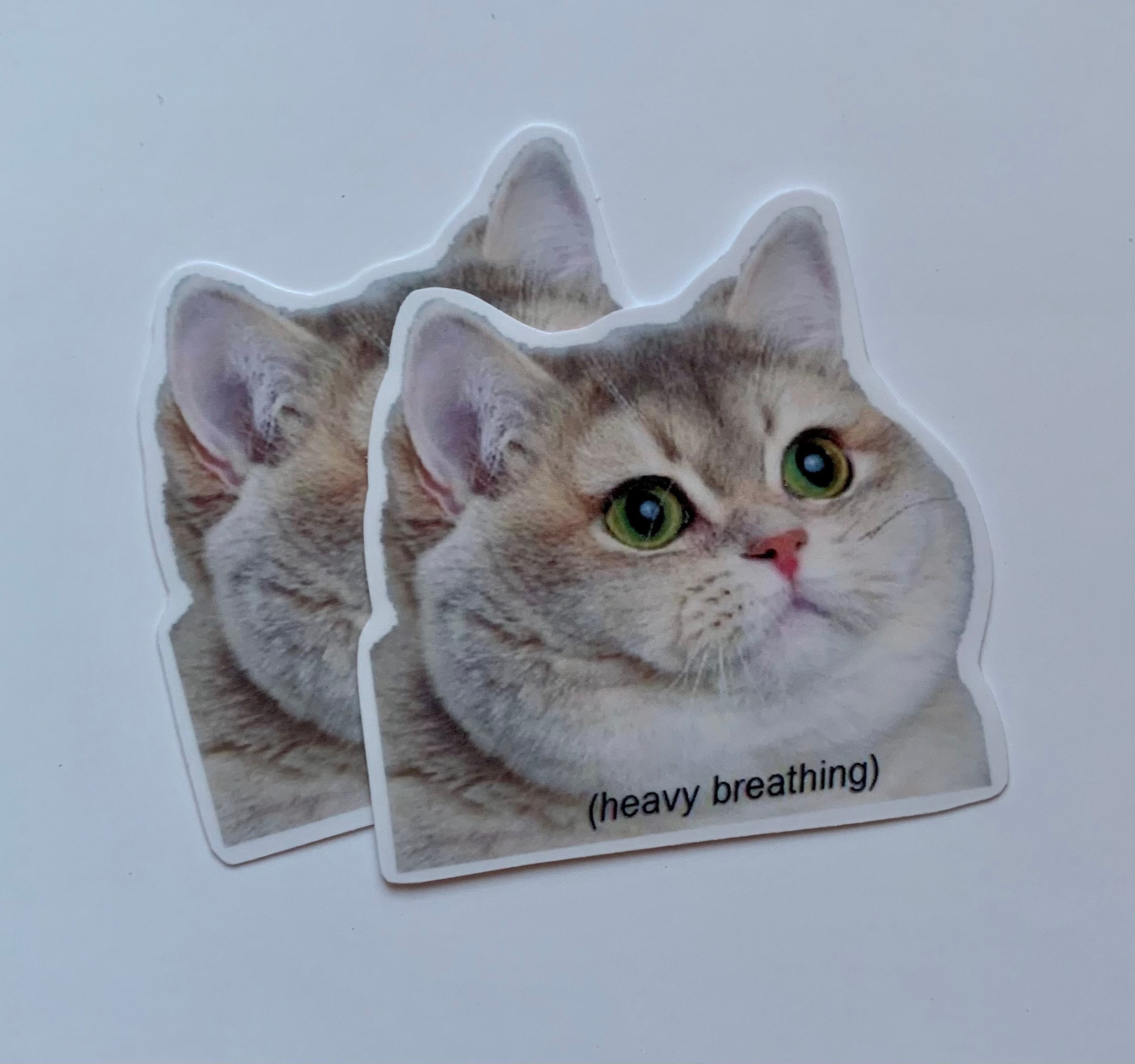 Deep Breathing Cat