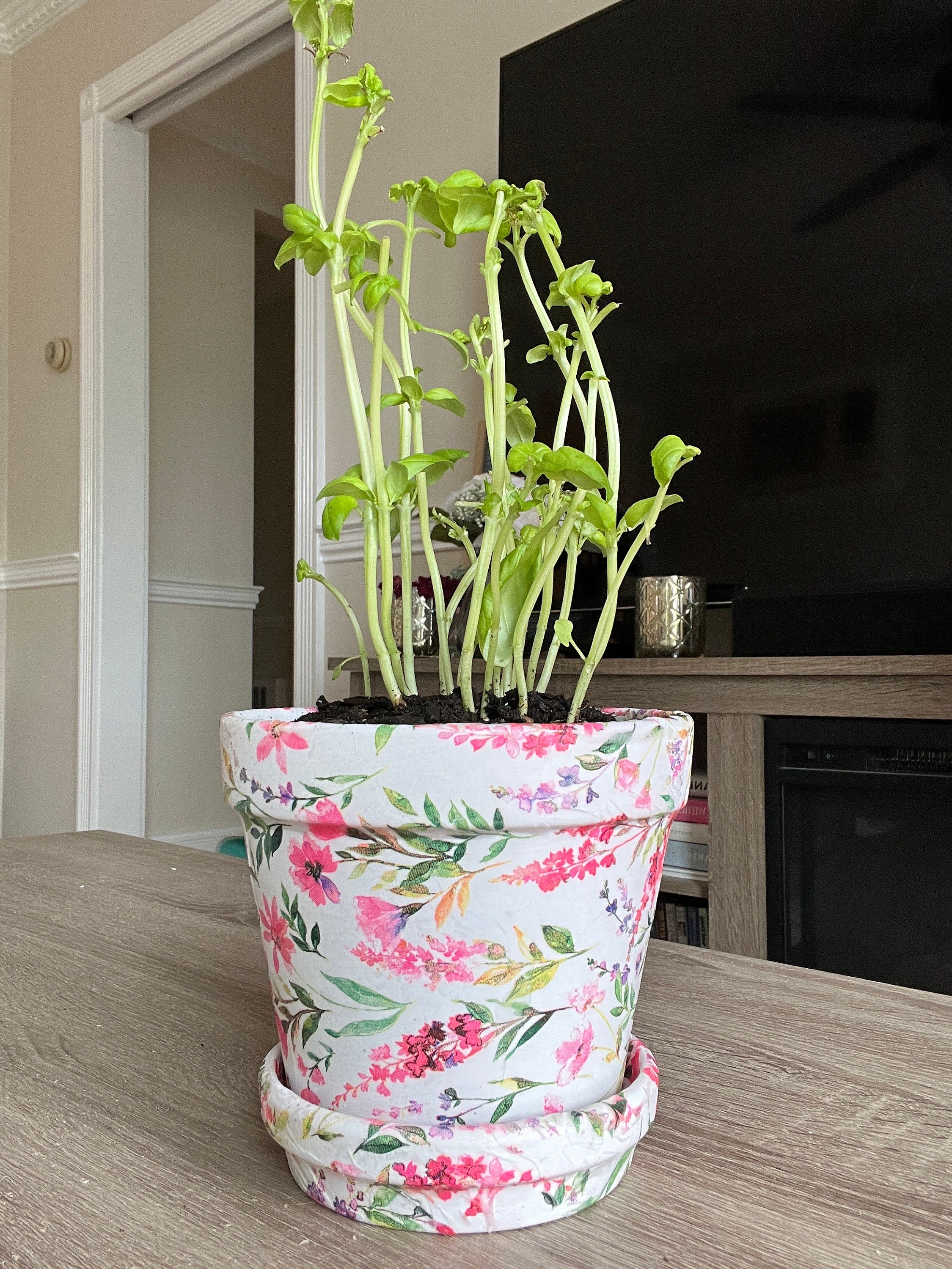 Lemon Flower Pot, Lemon Decor, Lemon Kitchen, Summer Flower Pot, Garden ...