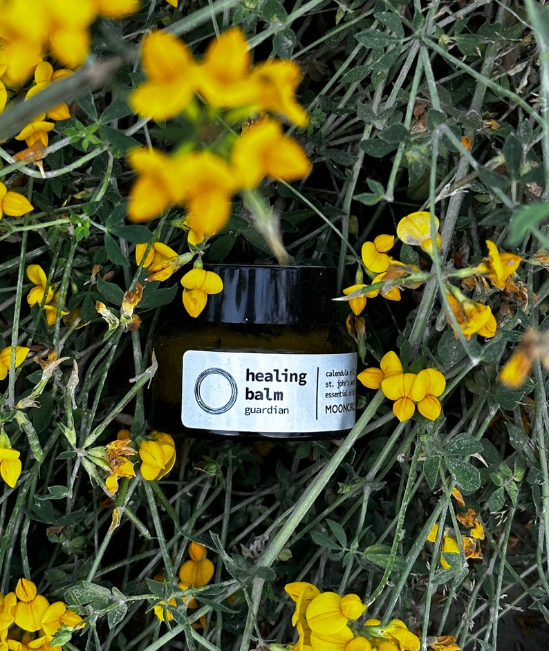 Healing Balm | Herbal Salve | Organic Ointment | Lip Balm | Dry Skin ...