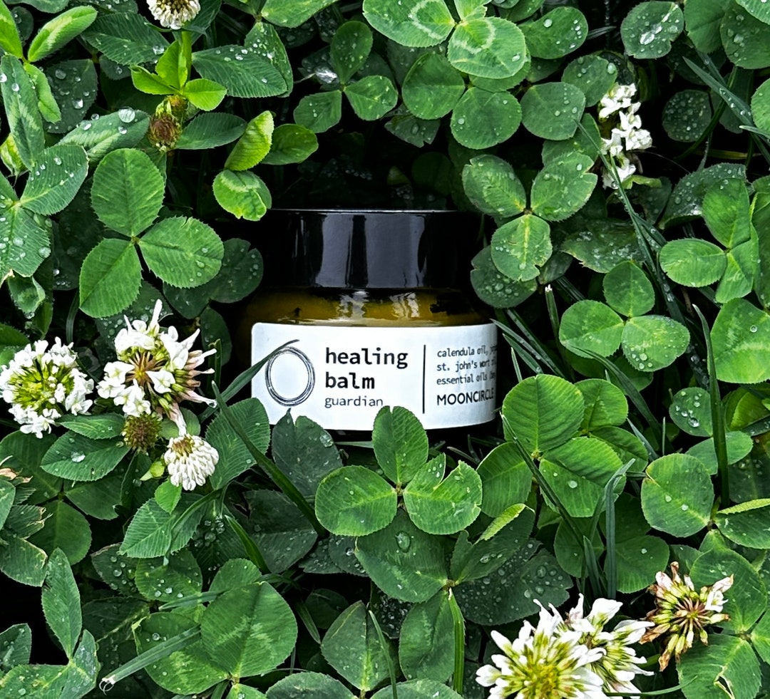 Healing Balm | Herbal Salve | Organic Ointment | Lip Balm | Dry Skin ...