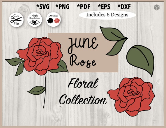 June Rose Flower Illustration Set Svg Png Pdf Dxf Eps - Etsy