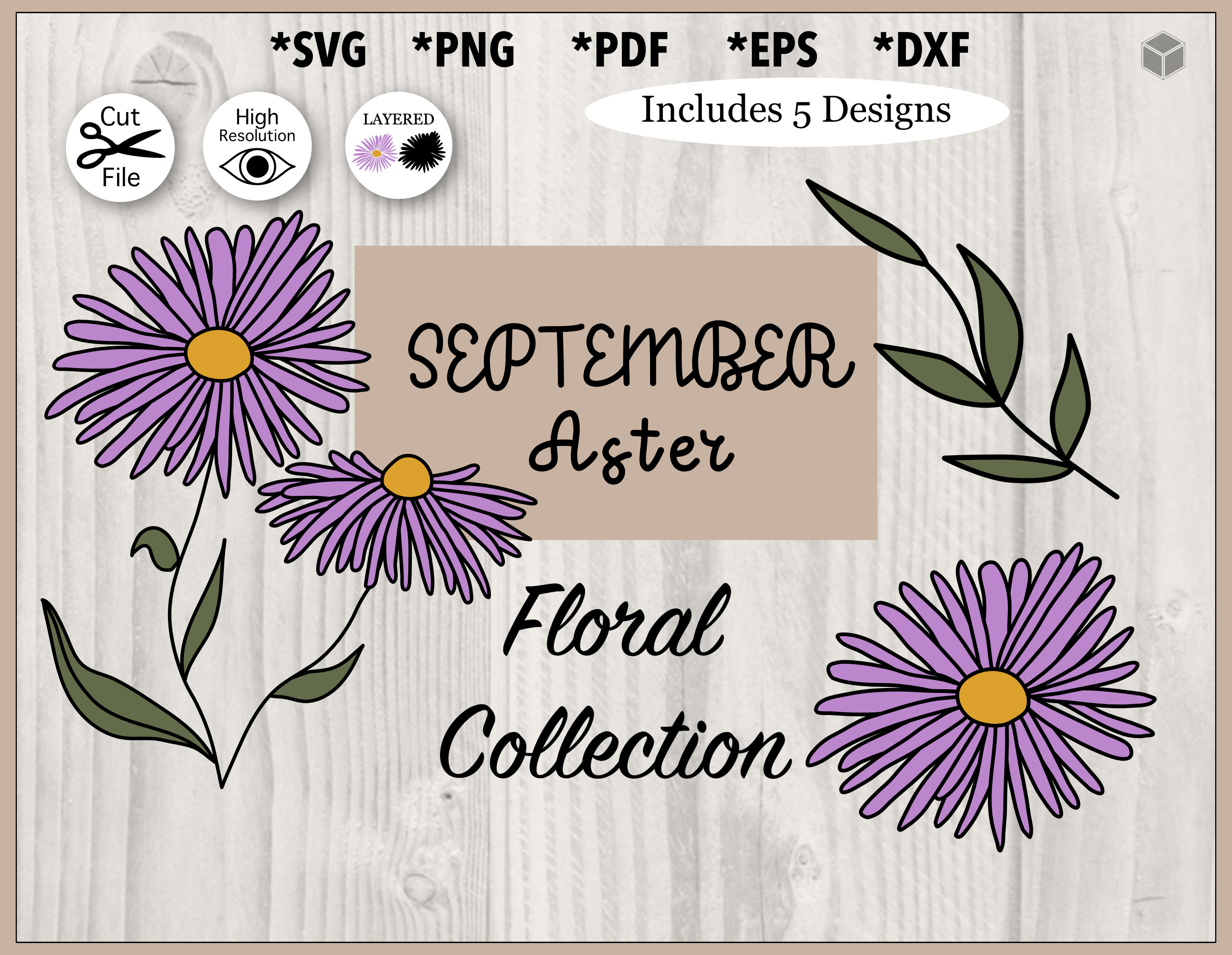 September Aster Flower Illustration Set (svg, Png, Pdf, Dxf, Eps) - Etsy