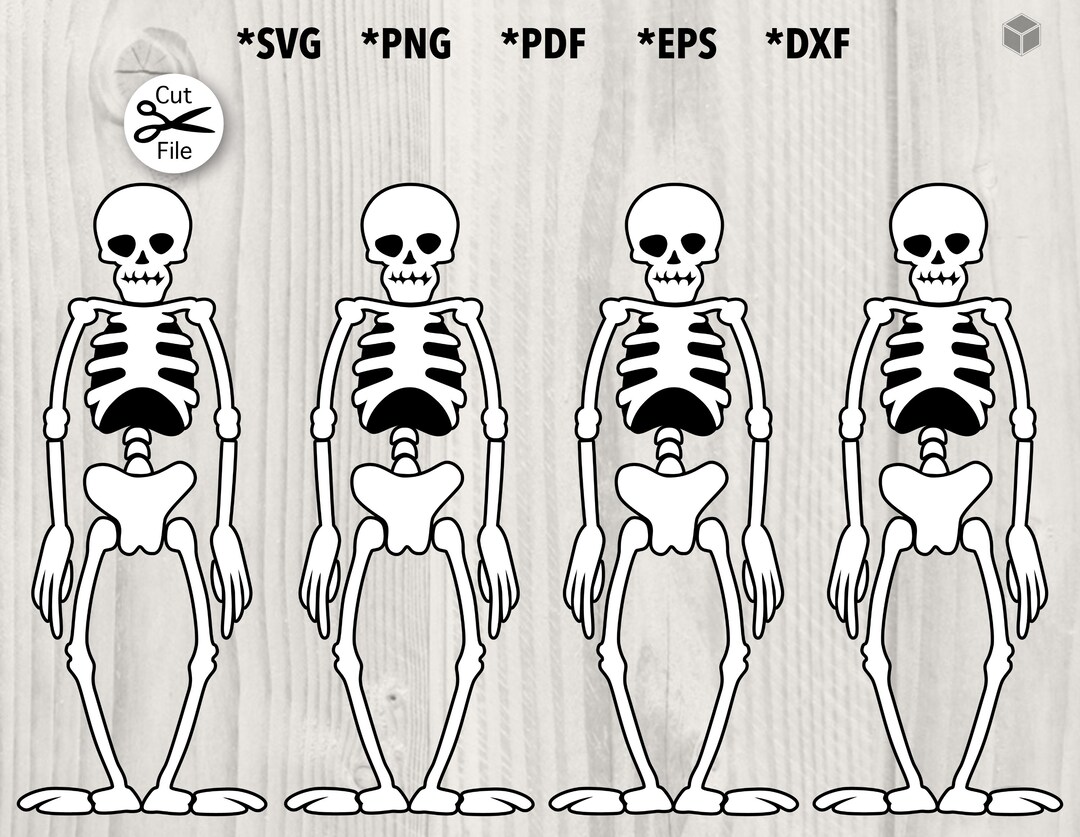 Standing Skeletons Cut File Svg, Png, Pdf, Eps, Dxf - Etsy