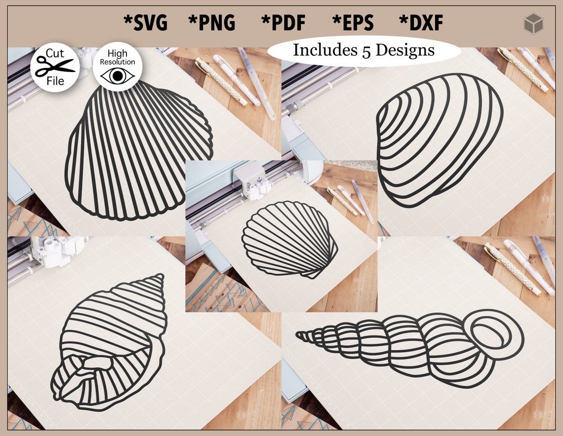 Seashells Outline Bundle Svg Png Pdf Dxf Eps - Etsy