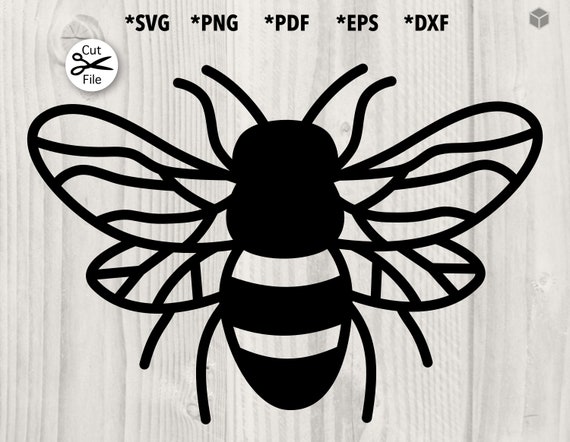 Esquema de abeja svg png pdf dxf eps - Etsy España