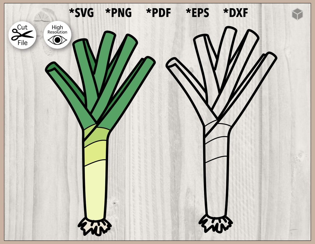 Leek Color and Outline Cut File Svg, Png, Pdf, Dxf, Eps for Cutting ...