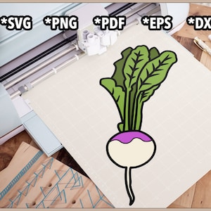 Turnip Color and Outline Clipart Svg, Png, Pdf, Dxf, Eps Cut File - Etsy