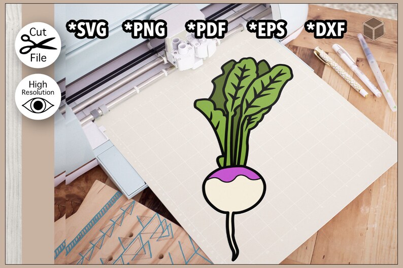 Turnip Color and Outline Clipart Svg, Png, Pdf, Dxf, Eps Cut File - Etsy