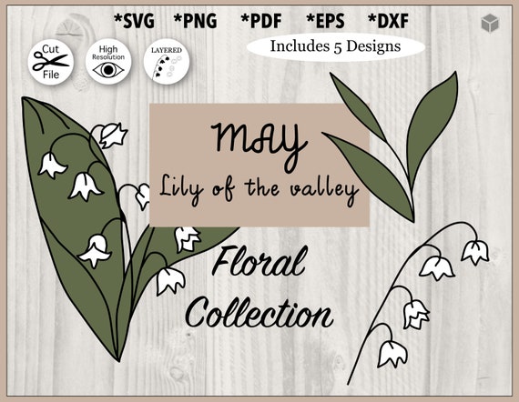 May Lily Flower Illustration Set Svg Png Pdf Dxf Eps - Etsy