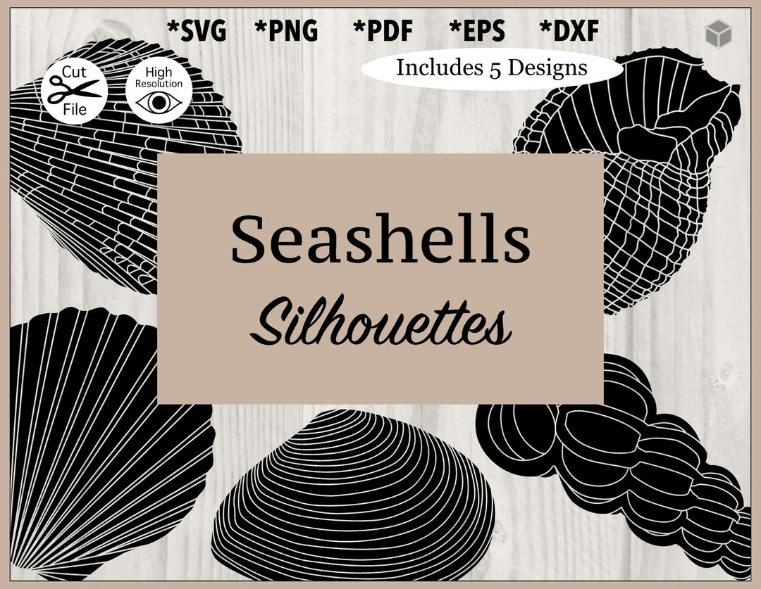 Detailed Seashells Silhouette Bundle, Shellfish Graphic Design, Oyster ...