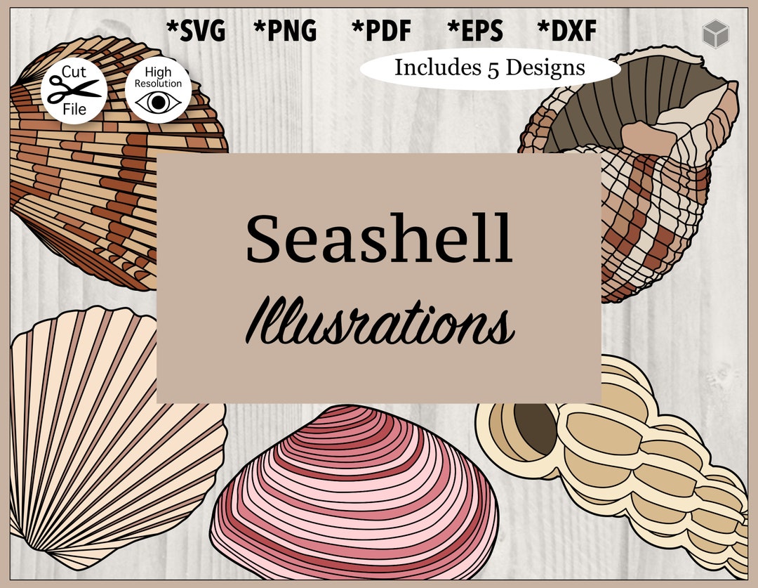 Detailed Seashells Color Bundle, Shellfish Graphic Design, Oyster Color ...