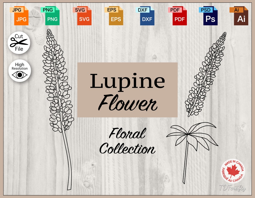 Lupine Flower Outline Set Svg, Png, Pdf, Dxf, Eps, Jpeg, Psd, Ai - Etsy