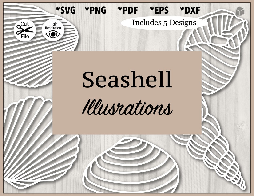 Seashells Outline Bundle Svg, Png, Pdf, Dxf, Eps - Etsy