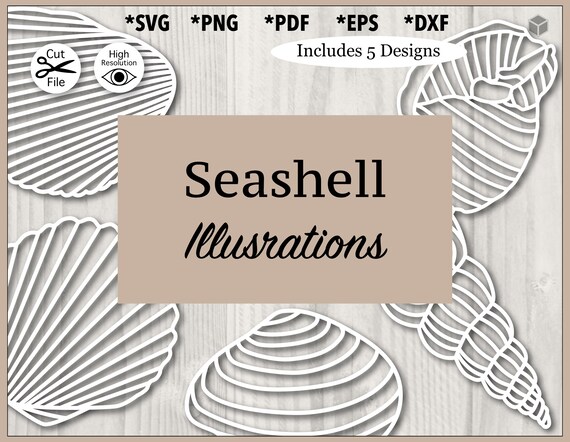 Seashells Outline Bundle Svg Png Pdf Dxf Eps - Etsy