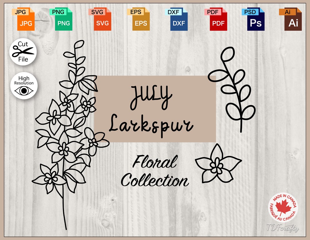 July Larkspur Flower Outline Set Svg, Png, Pdf, Dxf, Eps, Jpeg, Psd, Ai ...