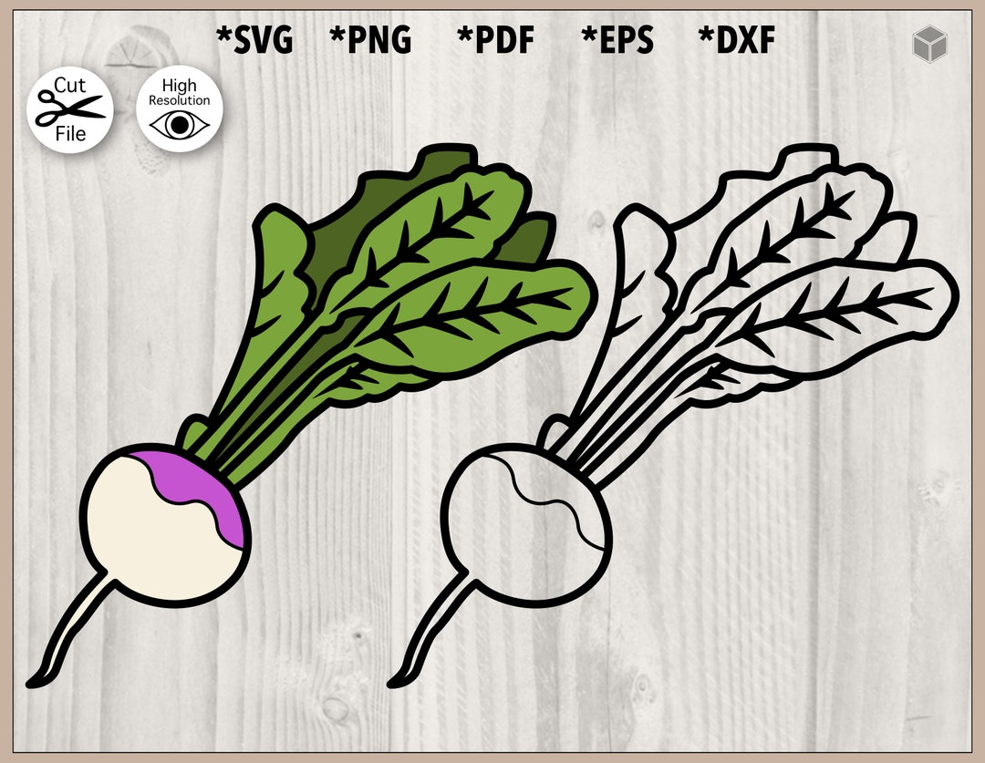 Turnip Color and Outline Clipart Svg, Png, Pdf, Dxf, Eps Cut File - Etsy