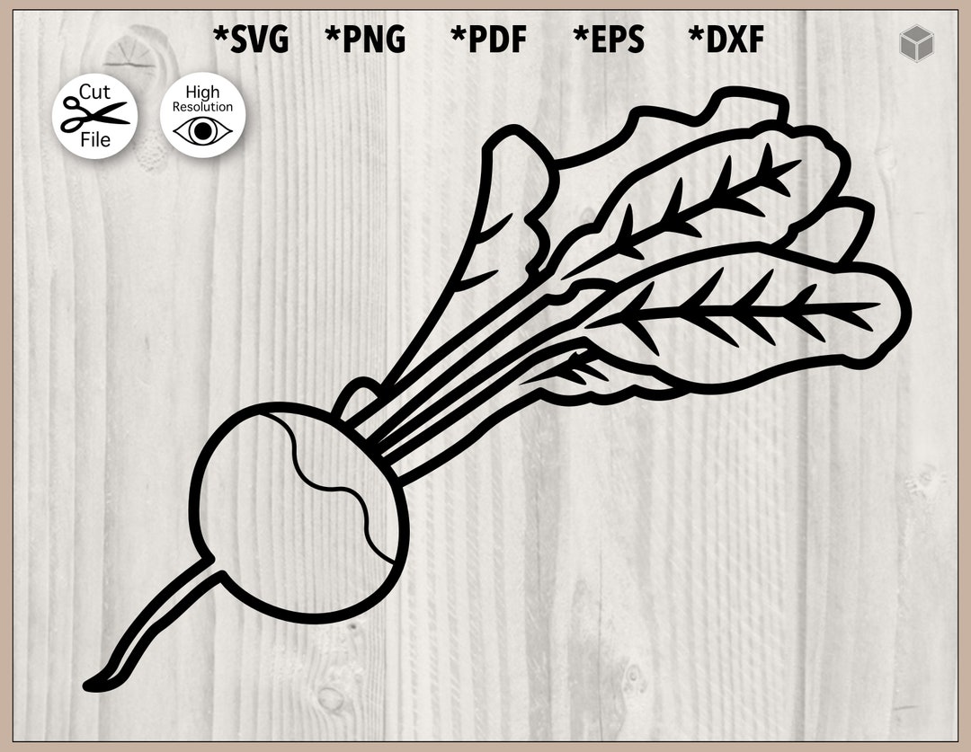 Turnip Outline Svg, Png, Pdf, Dxf, Eps - Etsy Canada