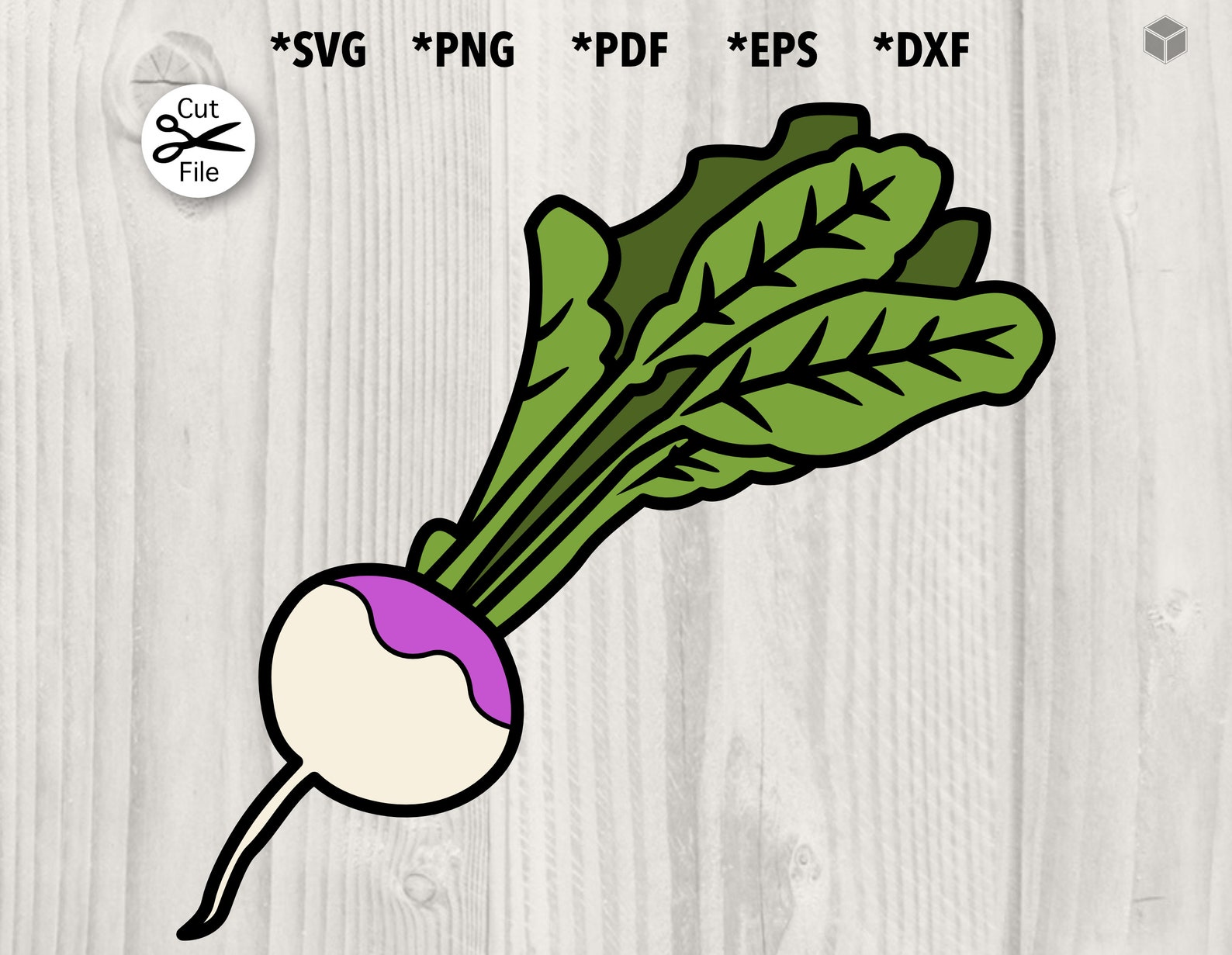 Turnip Cut File Svg Png Pdf Dxf Eps for Cutting Machine - Etsy