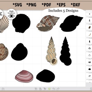 Detailed Seashells Color Bundle, Shellfish Graphic Design, Oyster Color ...