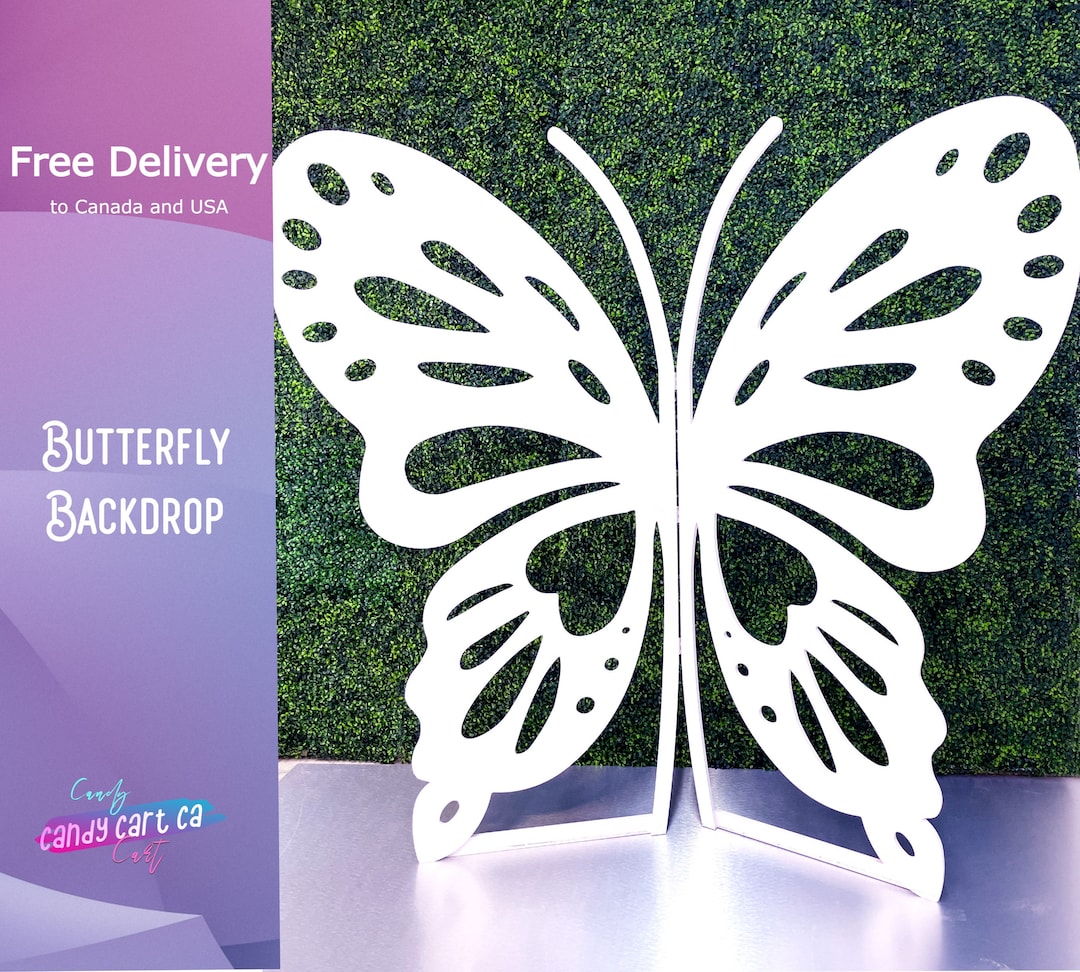 Butterfly Backdrop, Foldable Photo Backdrop | Unique Birthday Decor ...
