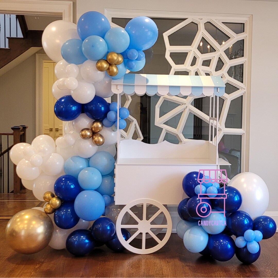 1st Birthday Cart on Wheels Party Decoration With Pink and Blue Roofs ...