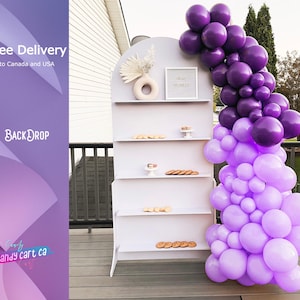 Treat Wall, Party Backdrop, Event Decor, Arched Backdrop With Shelves ...