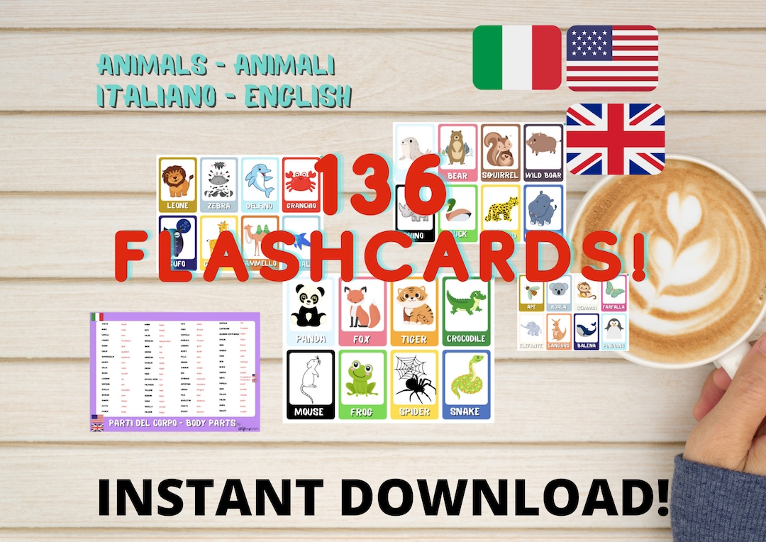 Italian - English ANIMALS Flashcards | 136 Cards - Etsy