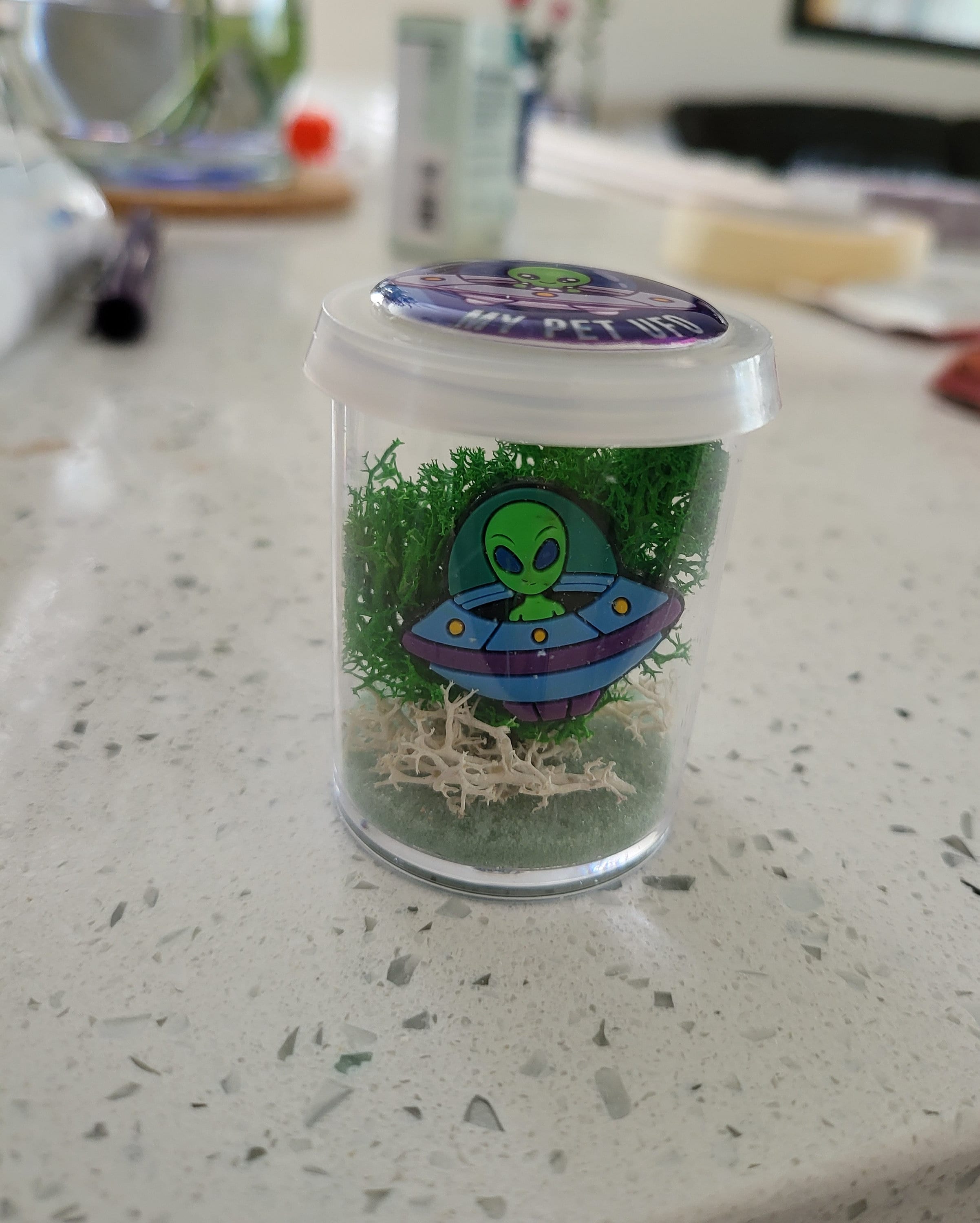 Alien UFO Desk Pet in a Jar, for Alien Lover, Alien Mascot, Keychain ...