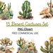 Desert Cactus Clipart Bundle, Desert PNG, Watercolor Clipart, Landscape ...