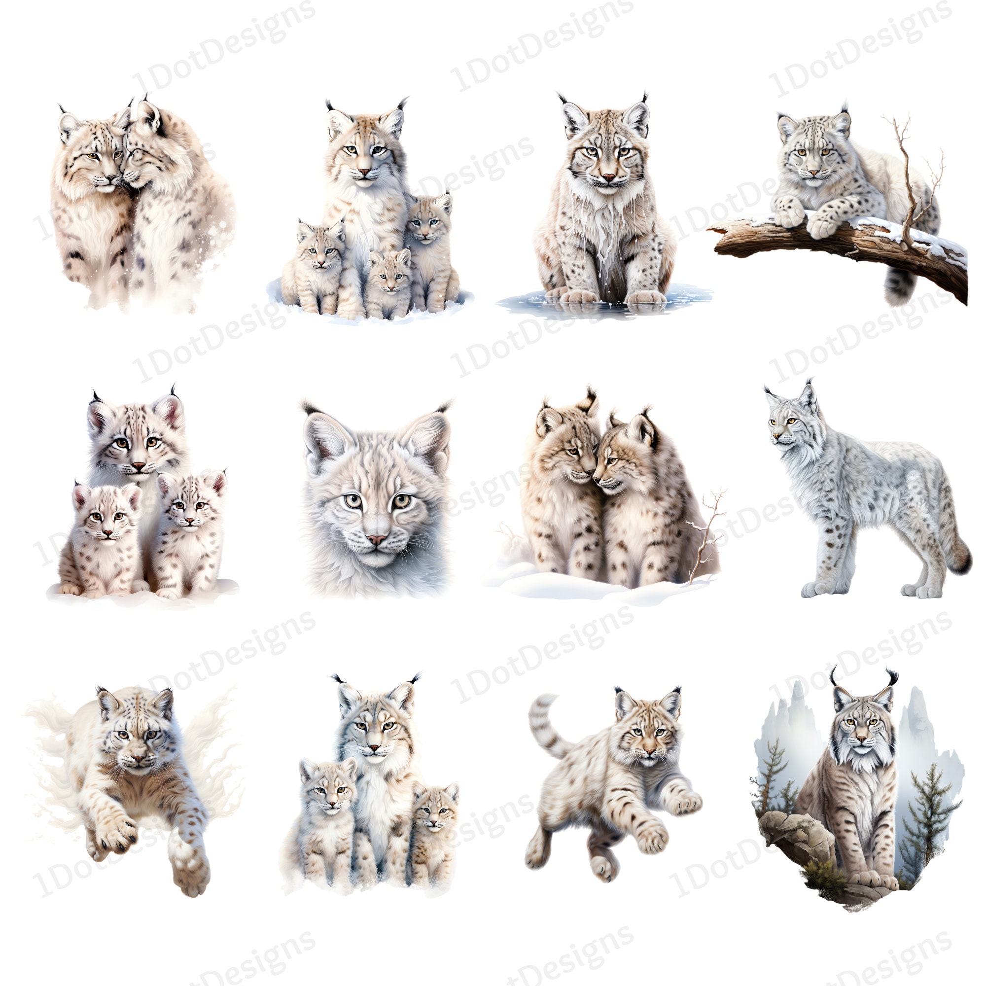 Lynx Clipart Bundle, Lynx PNG, Wild Cat Clipart, Arctic Clipart ...