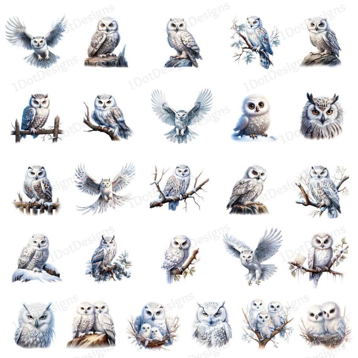 Snowy Owl Clipart Bundle, Snowy Owl PNG, Nature Clipart, Arctic Bird ...