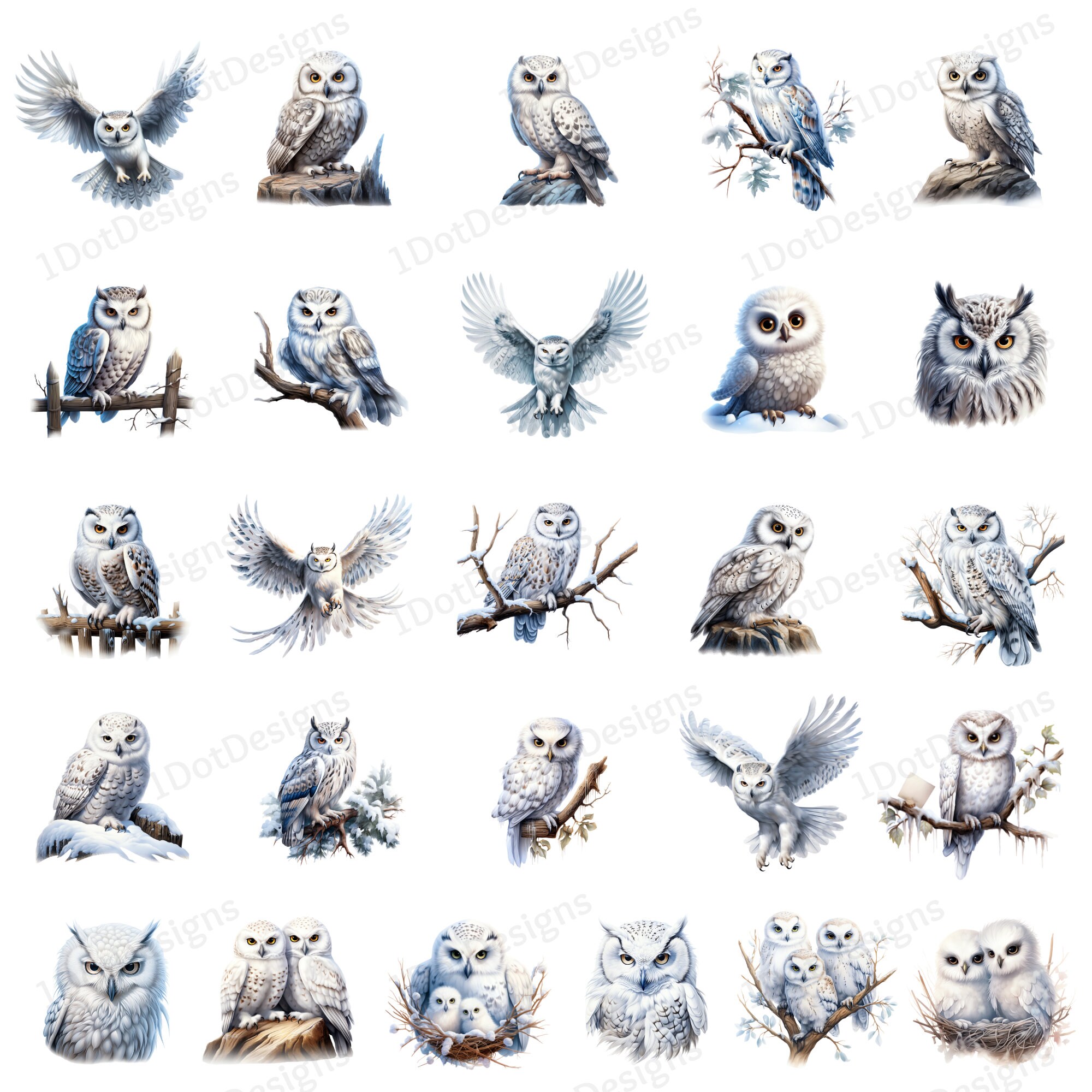 Snowy Owl Clipart Bundle, Snowy Owl PNG, Nature Clipart, Arctic Bird ...