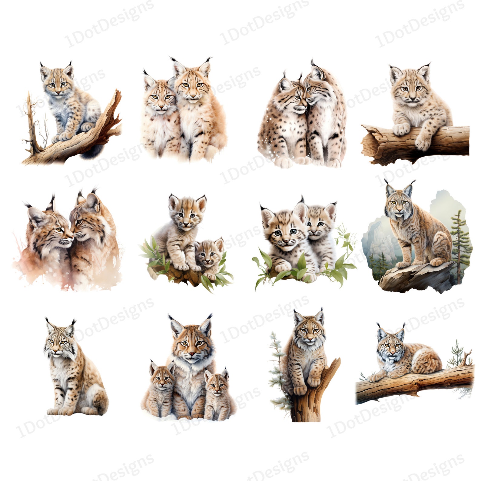 Lynx Clipart Bundle, Lynx PNG, Wild Cat Clipart, Arctic Clipart ...