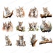 Lynx Clipart Bundle, Lynx PNG, Wild Cat Clipart, Arctic Clipart ...