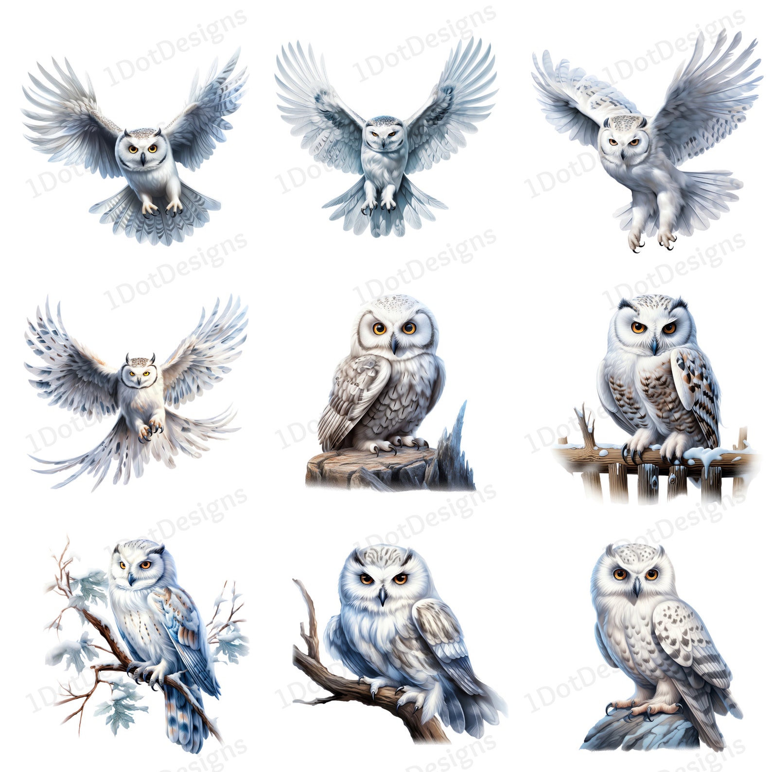 Snowy Owl Clipart Bundle, Snowy Owl PNG, Nature Clipart, Arctic Bird ...