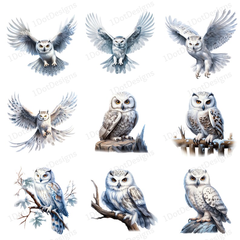 Snowy Owl Clipart Bundle, Snowy Owl PNG, Nature Clipart, Arctic Bird ...