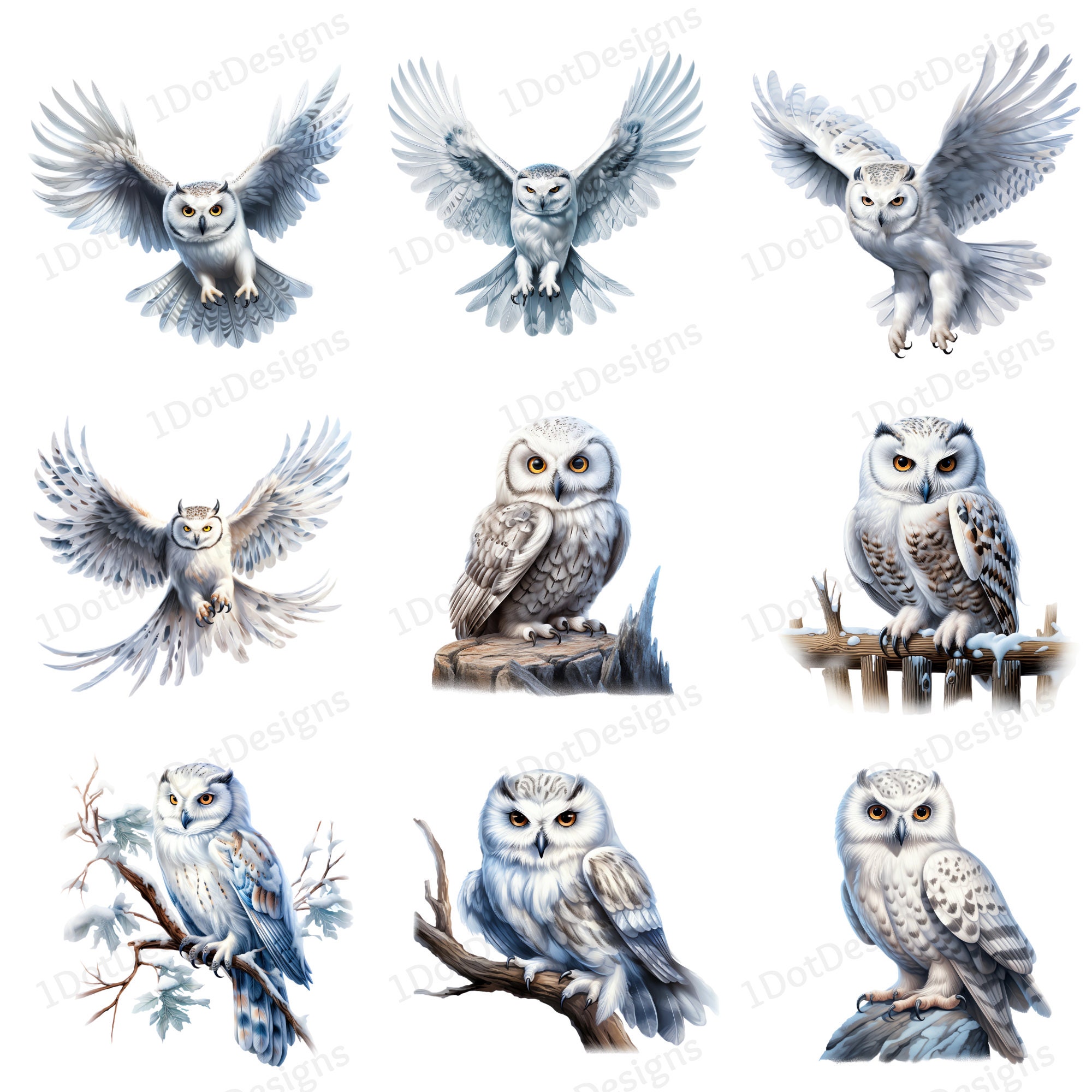 Snowy Owl Clipart Bundle, Snowy Owl PNG, Nature Clipart, Arctic Bird ...