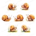 Cute Garden Snail Clipart Bundle, Nursery PNG, Botanical Clipart ...
