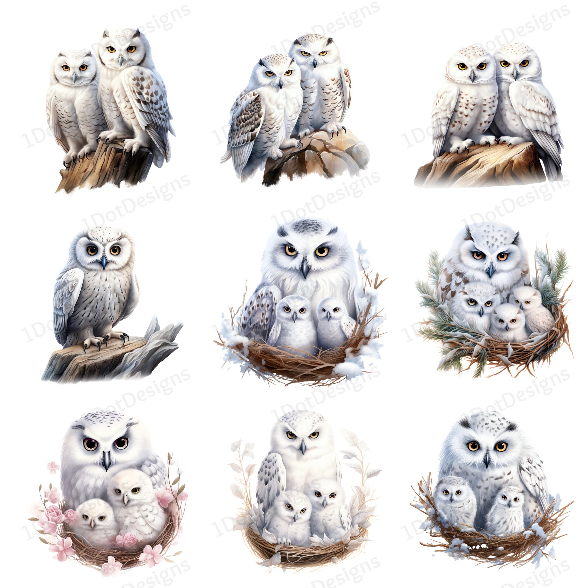 Snowy Owl Family Clipart Bundle Snow Owl PNG Nature Clipart - Etsy UK