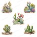 Watercolor Cactus Clipart Bundle, Cactus PNG, Watercolor Clipart, Wild ...