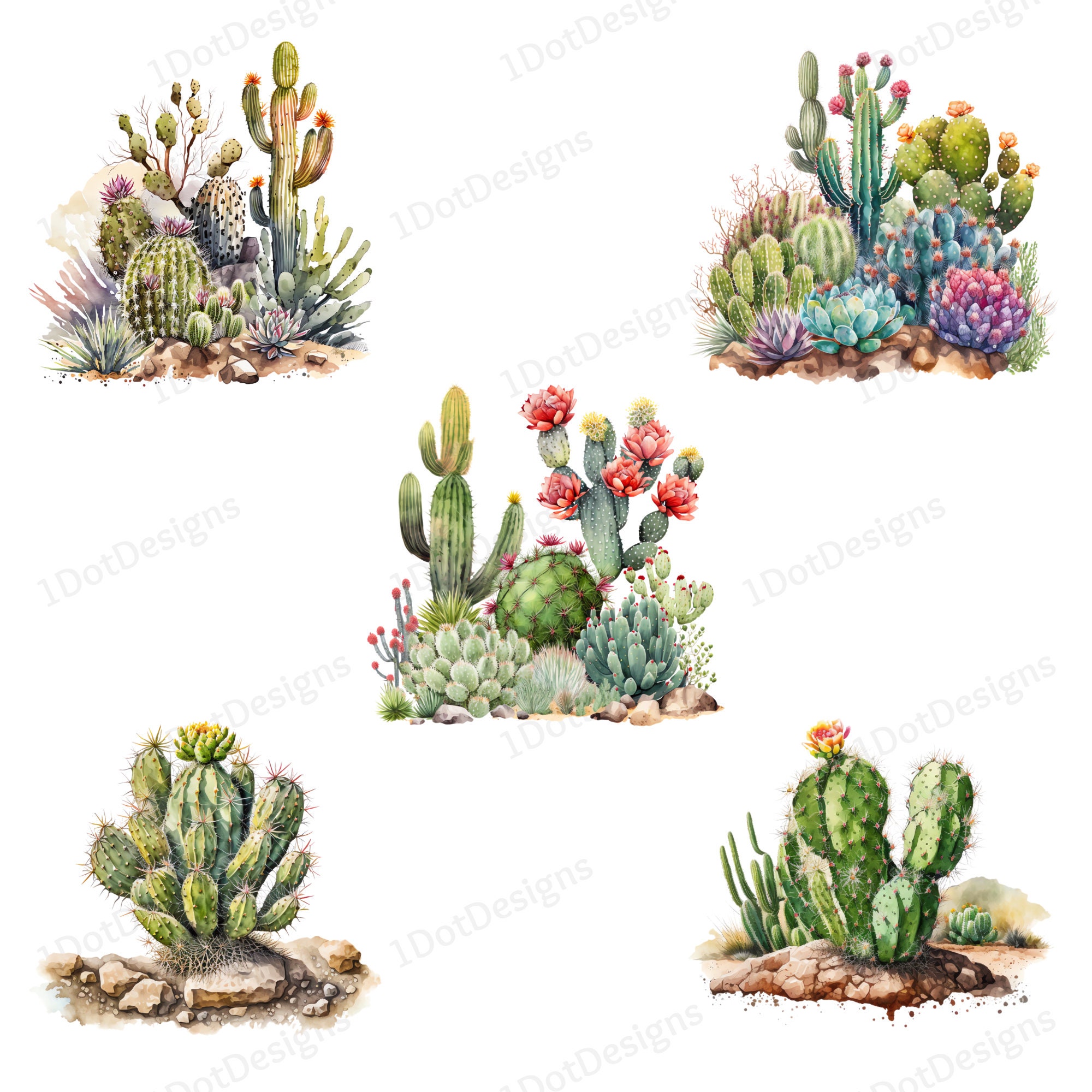 Watercolor Cactus Clipart Bundle, Cactus PNG, Watercolor Clipart, Wild ...