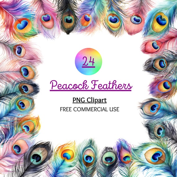 Peacock Feathers Clip Art Free