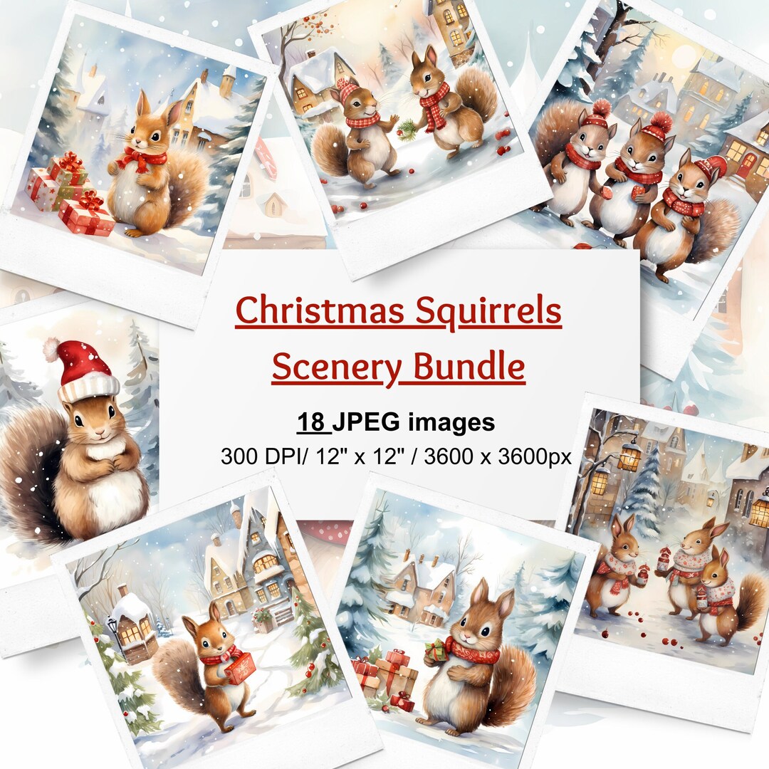 Christmas Squirrels Digital Paper, Festive Square Papers, Christmas ...