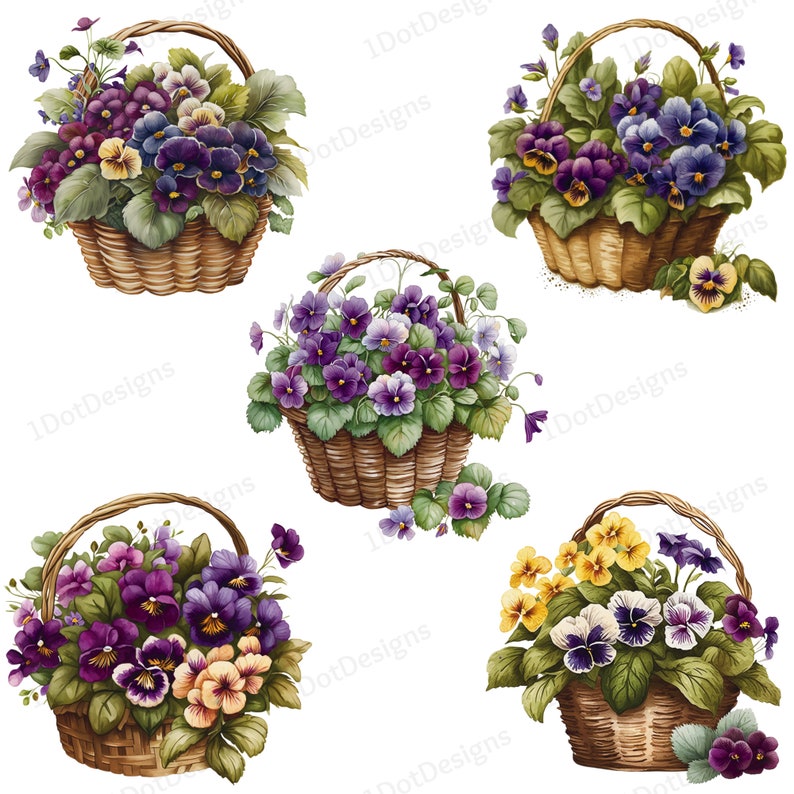 Violet Basket Clipart Bundle, Violets PNG, Watercolor Clipart, Floral ...