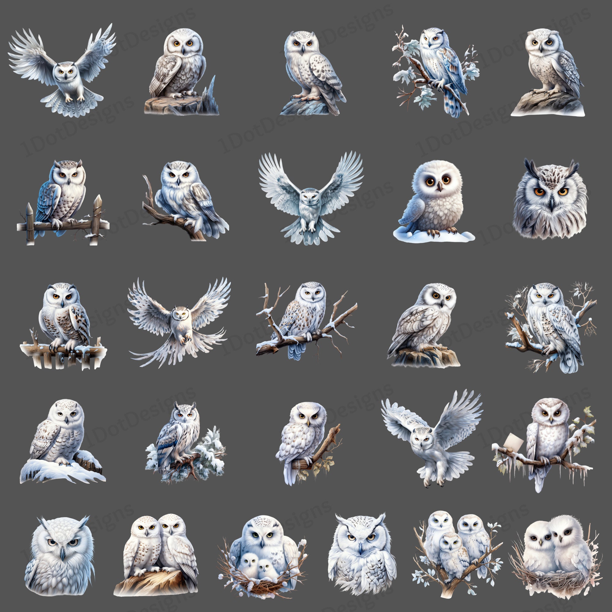 Snowy Owl Clipart Bundle, Snowy Owl PNG, Nature Clipart, Arctic Bird ...