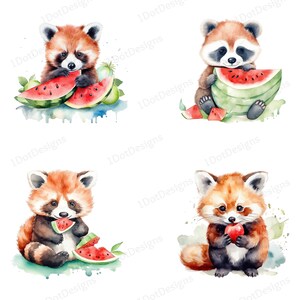 Cute Baby Red Panda Clipart Bundle, Panda PNG, Watercolor Clipart, Red ...