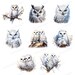 Snowy Owl Clipart Bundle, Snowy Owl PNG, Nature Clipart, Arctic Bird ...
