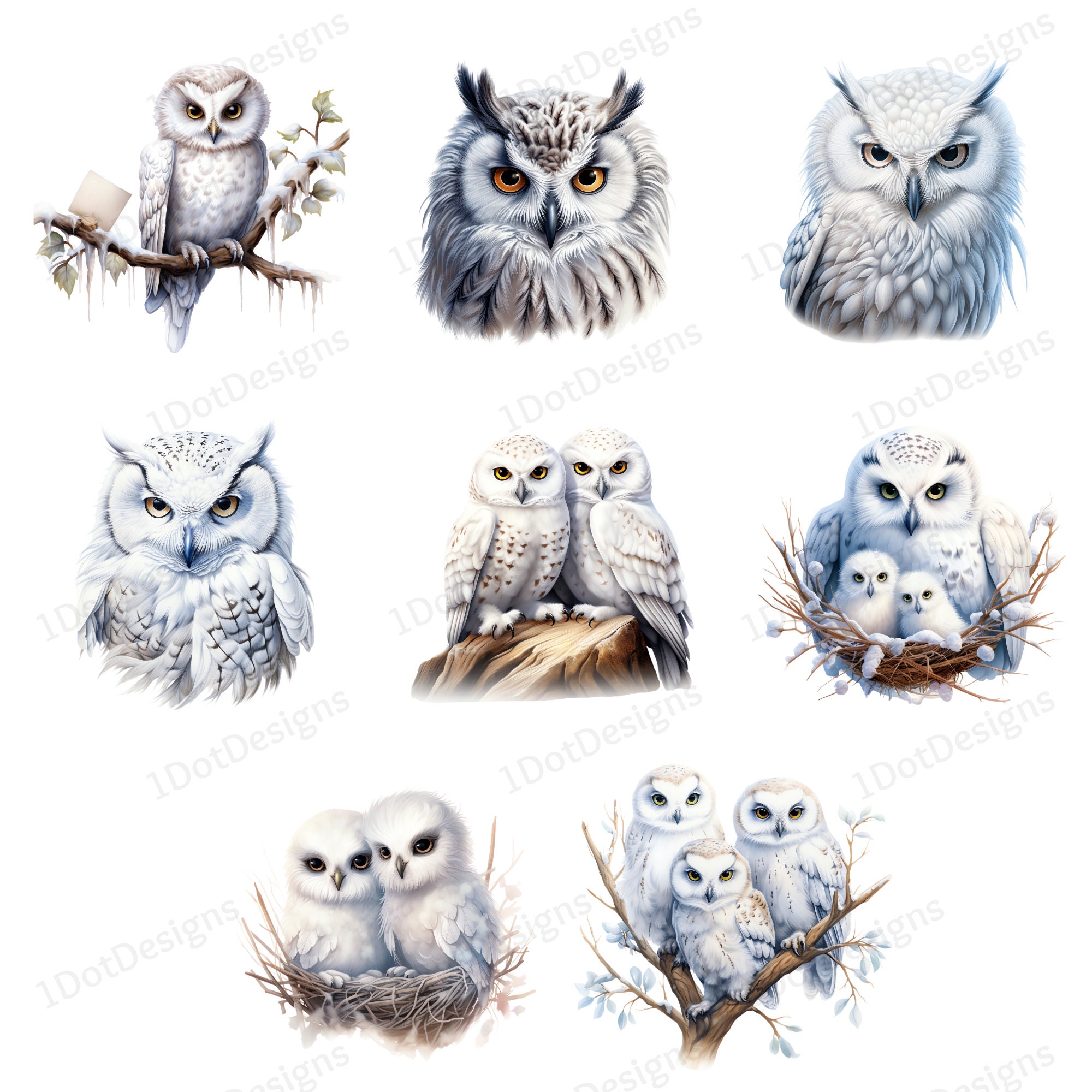 Snowy Owl Clipart Bundle, Snowy Owl PNG, Nature Clipart, Arctic Bird ...