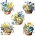 Spring Floral Basket Clipart Bundle, Floral PNG, Watercolor Clipart ...